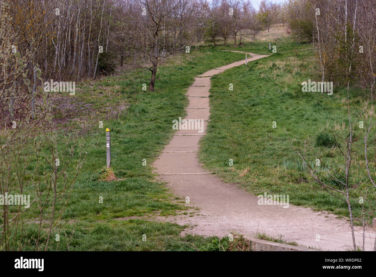 View path running through wooded area of Walton Colliery Nature Park ...