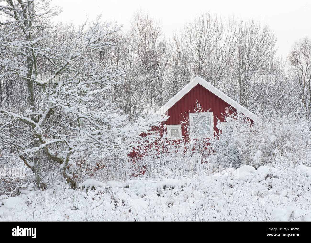 SWEDEN - Winter, coldest, season, regions, freezing, temperatures, ice ...