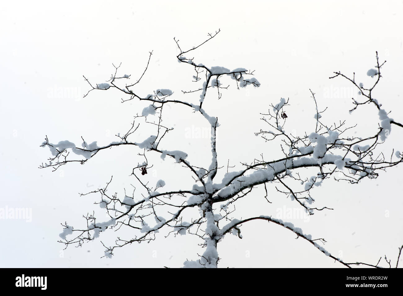 SWEDEN - Winter, coldest, season, regions, freezing, temperatures, ice ...