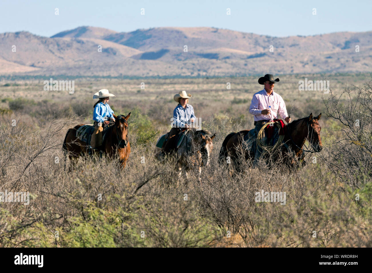 Cowboy and two young girls riding through brushes on a West Texas ranch ...