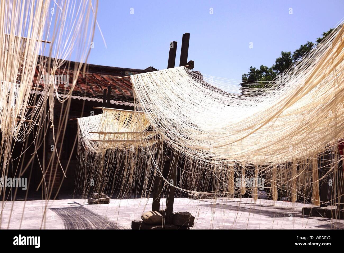Hanging noodles hi-res stock photography and images - Alamy