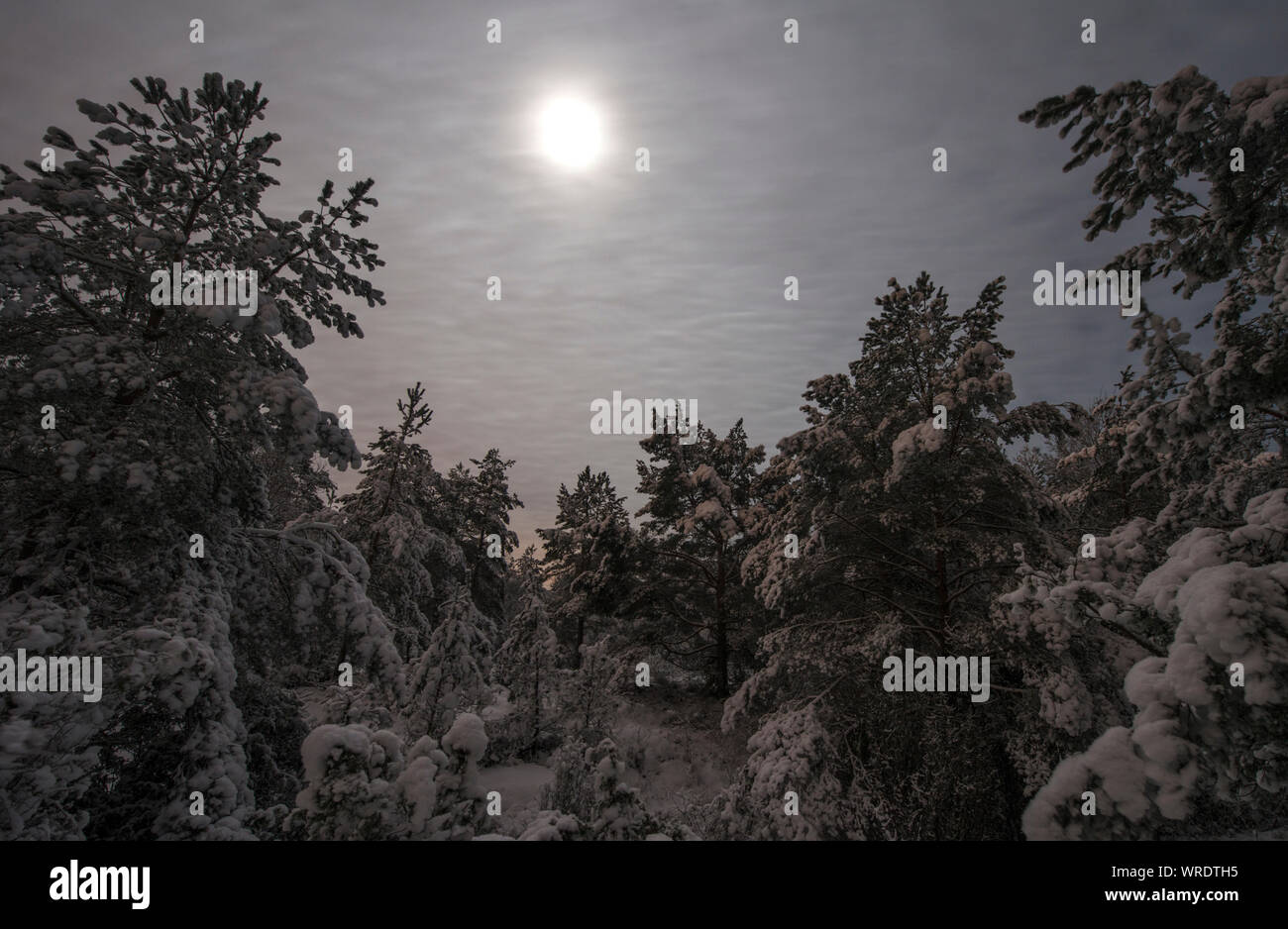 SWEDEN - Winter, coldest, season, regions, freezing, temperatures, ice ...