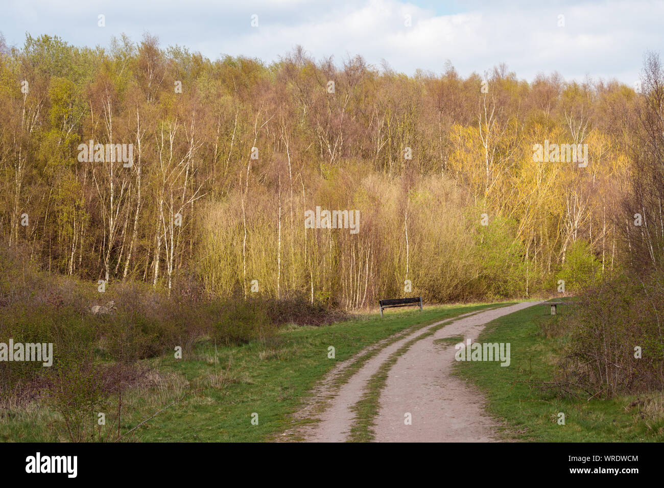Curved path through woods hi-res stock photography and images - Alamy