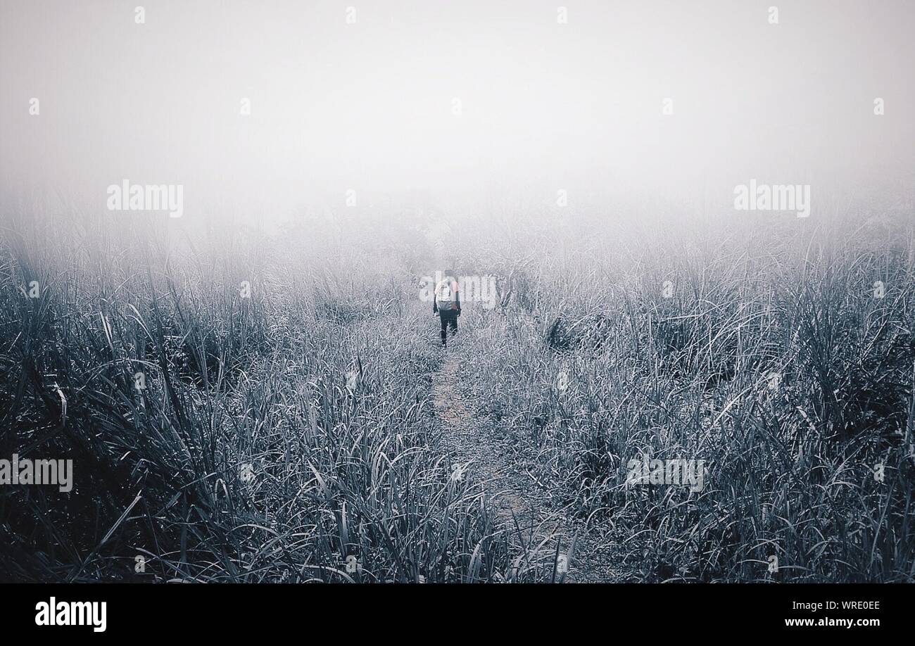 Man walking in fog foggy weather hi-res stock photography and images ...