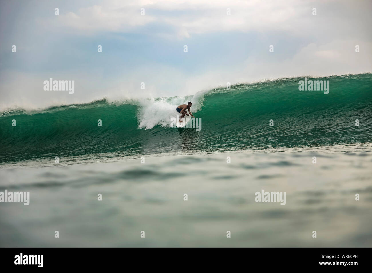 Surfer on a wave Stock Photo - Alamy