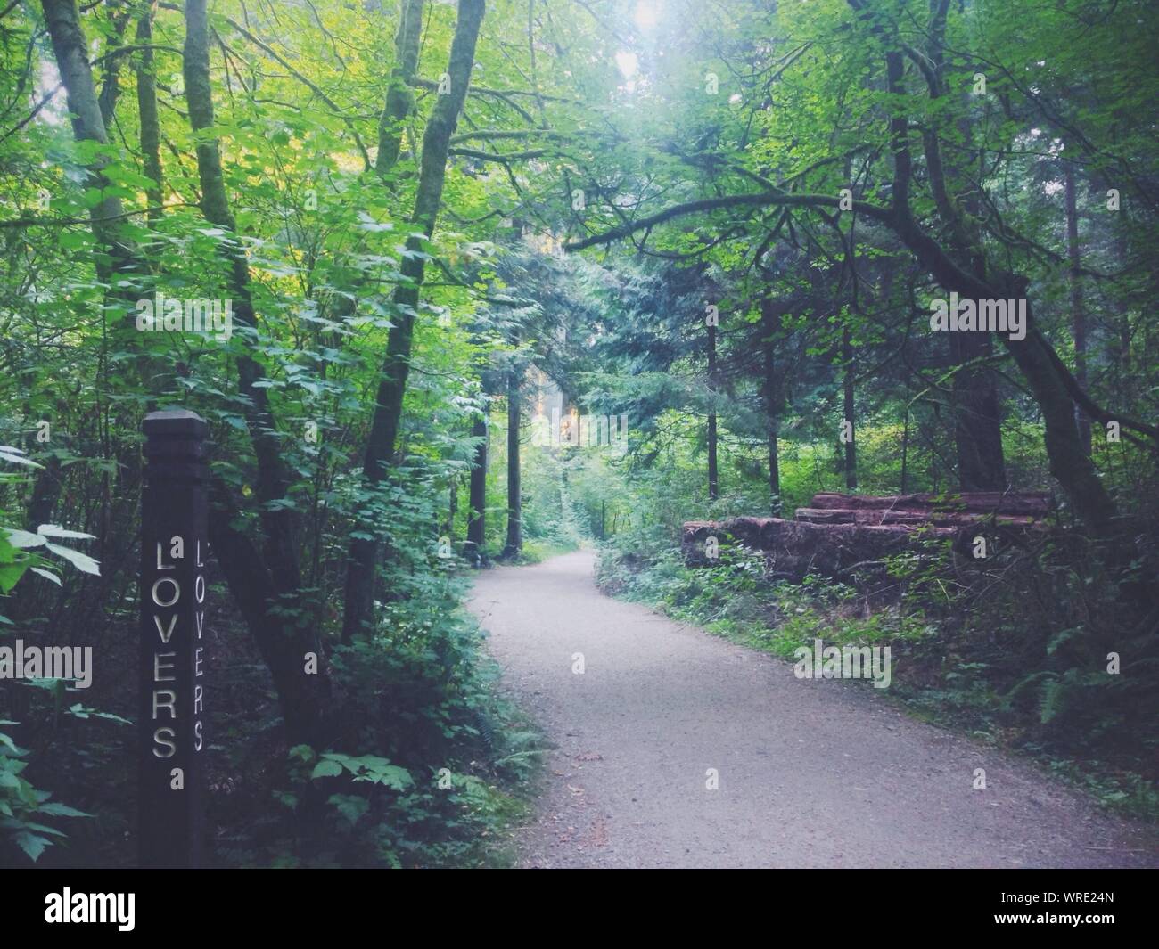 Single lane road hi-res stock photography and images - Alamy