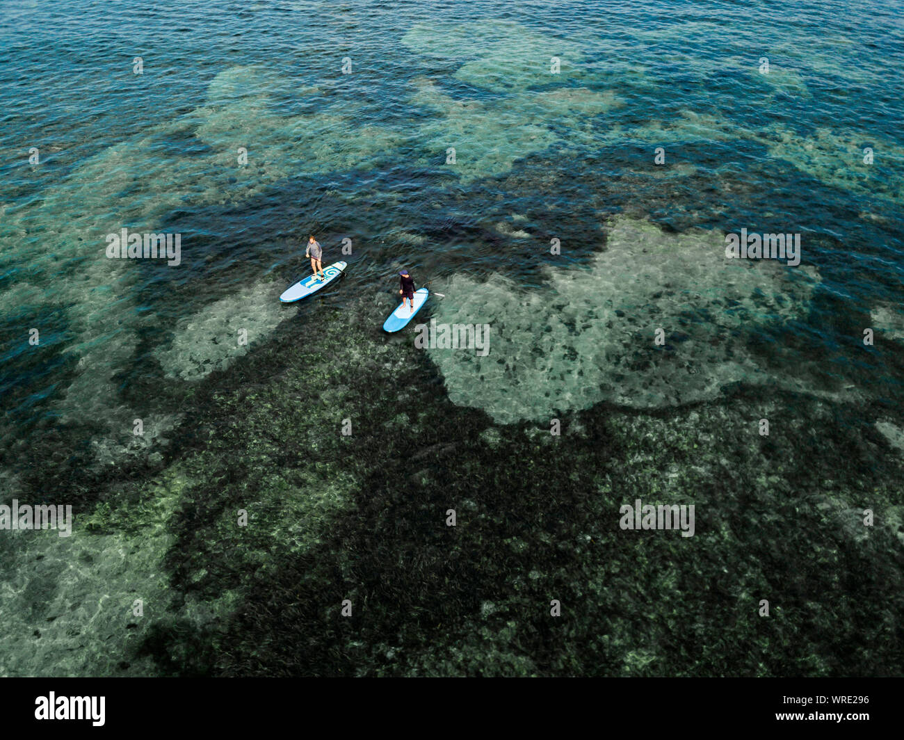 Sup surfers hi-res stock photography and images - Alamy