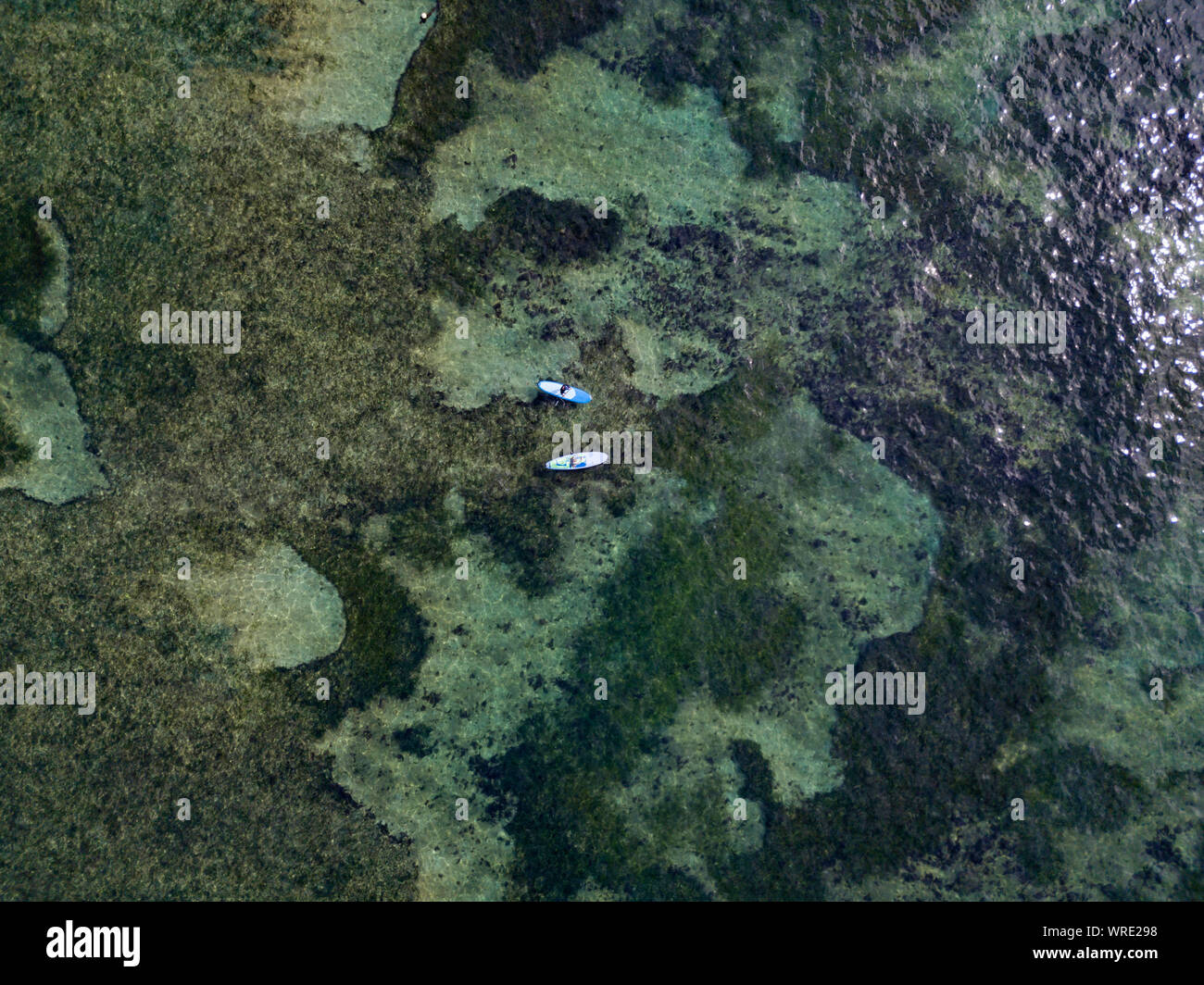 Aerial view of sup surfers Stock Photo - Alamy