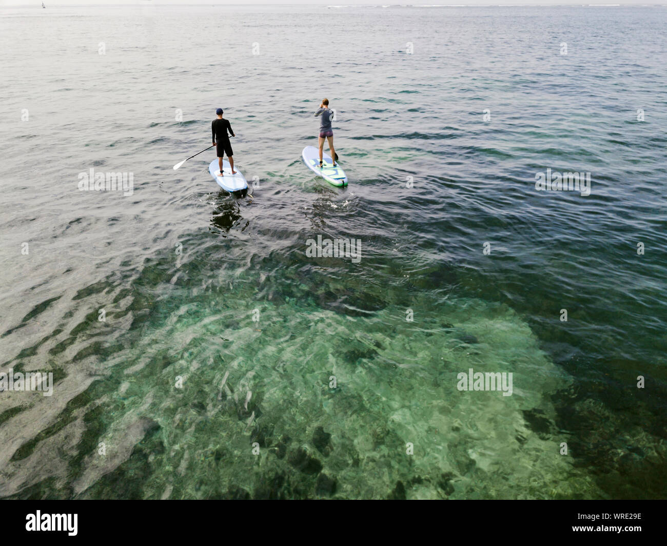 Aerial view of sup surfers Stock Photo - Alamy