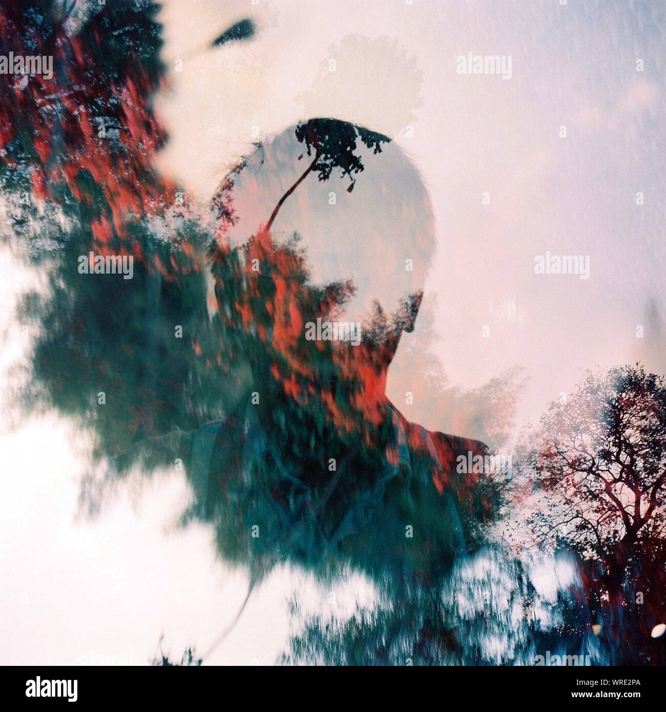 Double Exposure Man Tree High Resolution Stock Photography and Images ...
