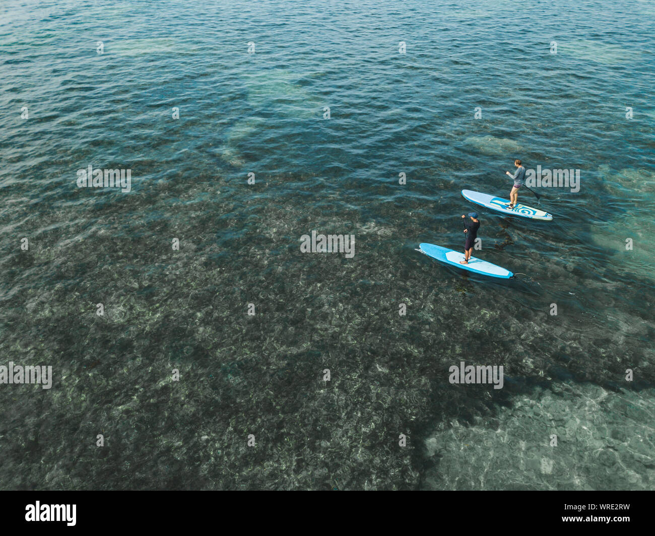 Aerial view of sup surfers Stock Photo - Alamy