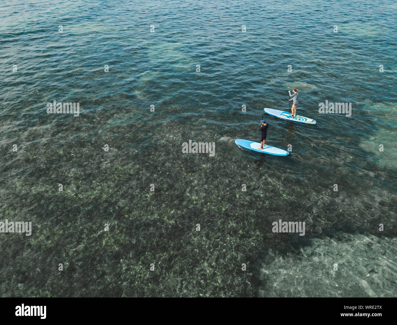 Aerial view of sup surfers Stock Photo - Alamy