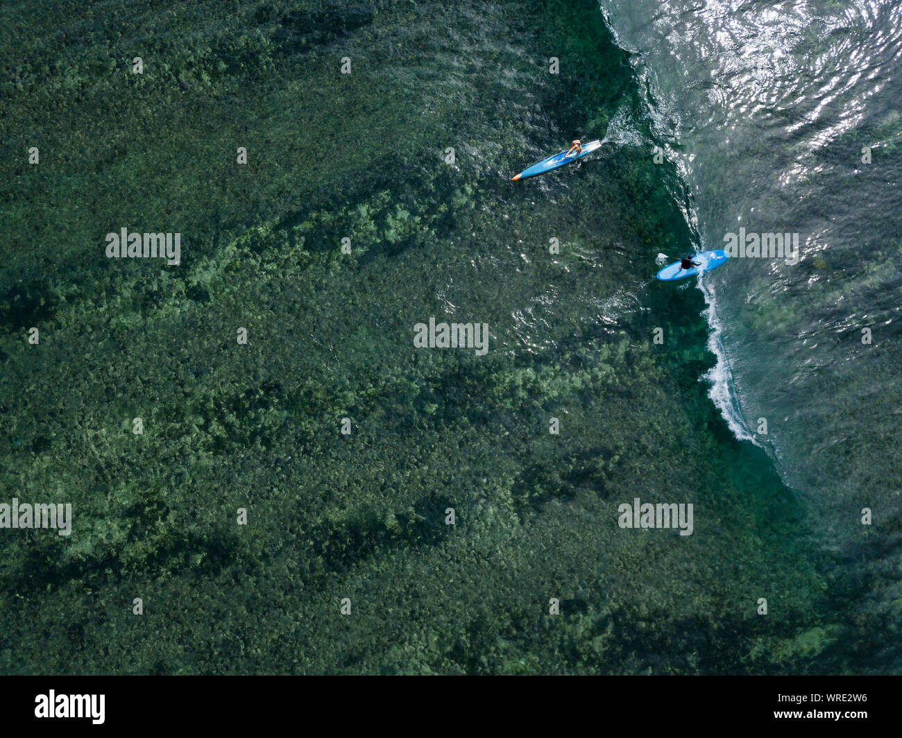 Aerial view of sup surfers Stock Photo - Alamy