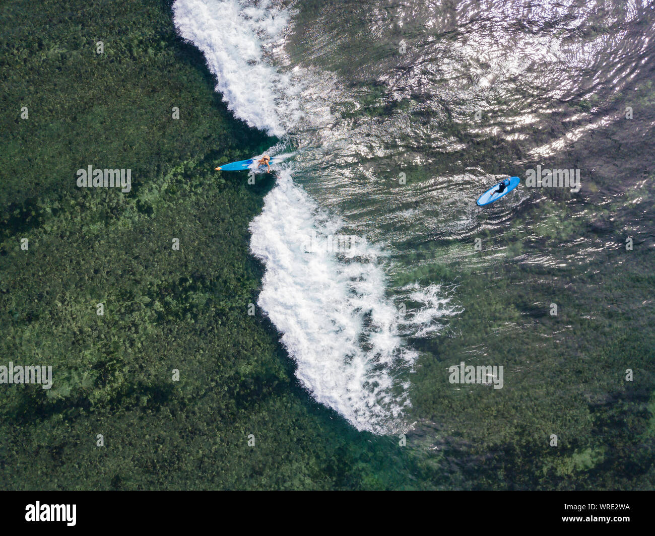Aerial view of sup surfers Stock Photo - Alamy