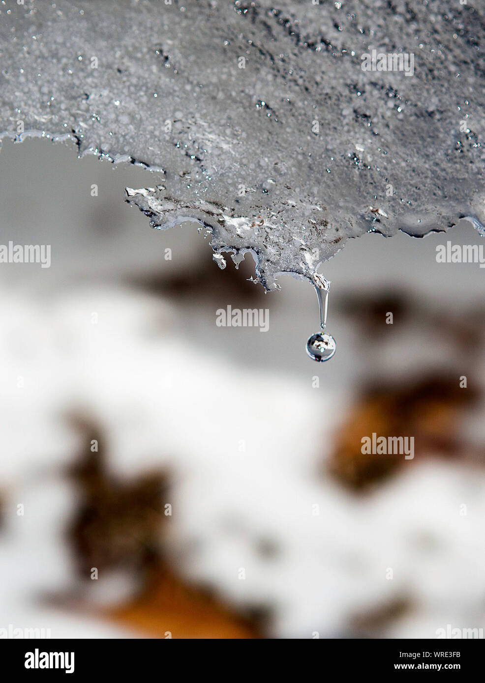 Dripping ice hi-res stock photography and images - Alamy