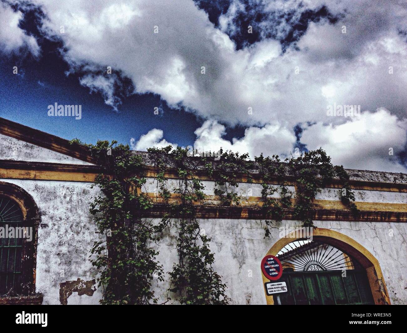 Creeper On House High Resolution Stock Photography and Images - Alamy