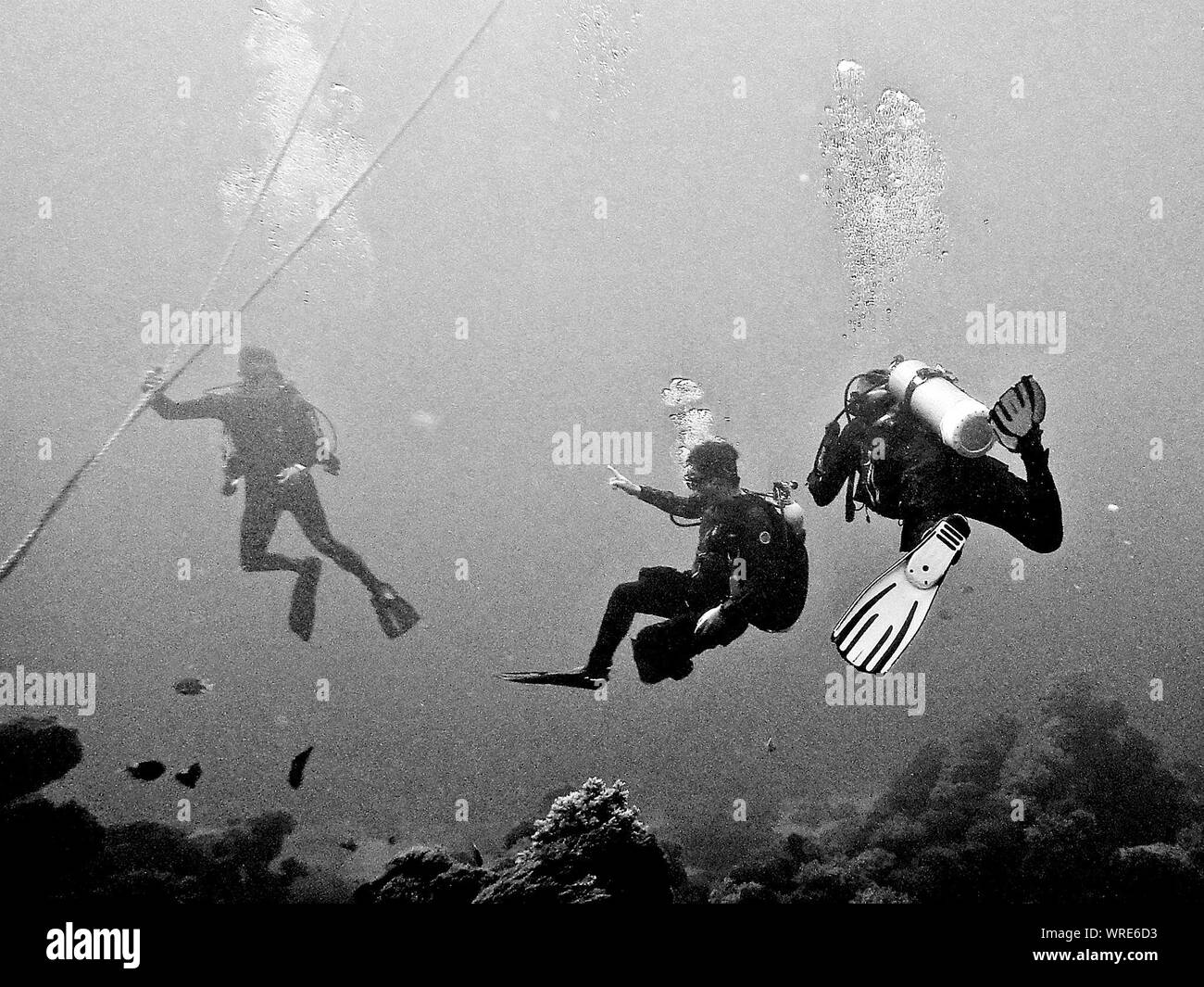 Diving underwater men aquatic hi-res stock photography and images - Alamy