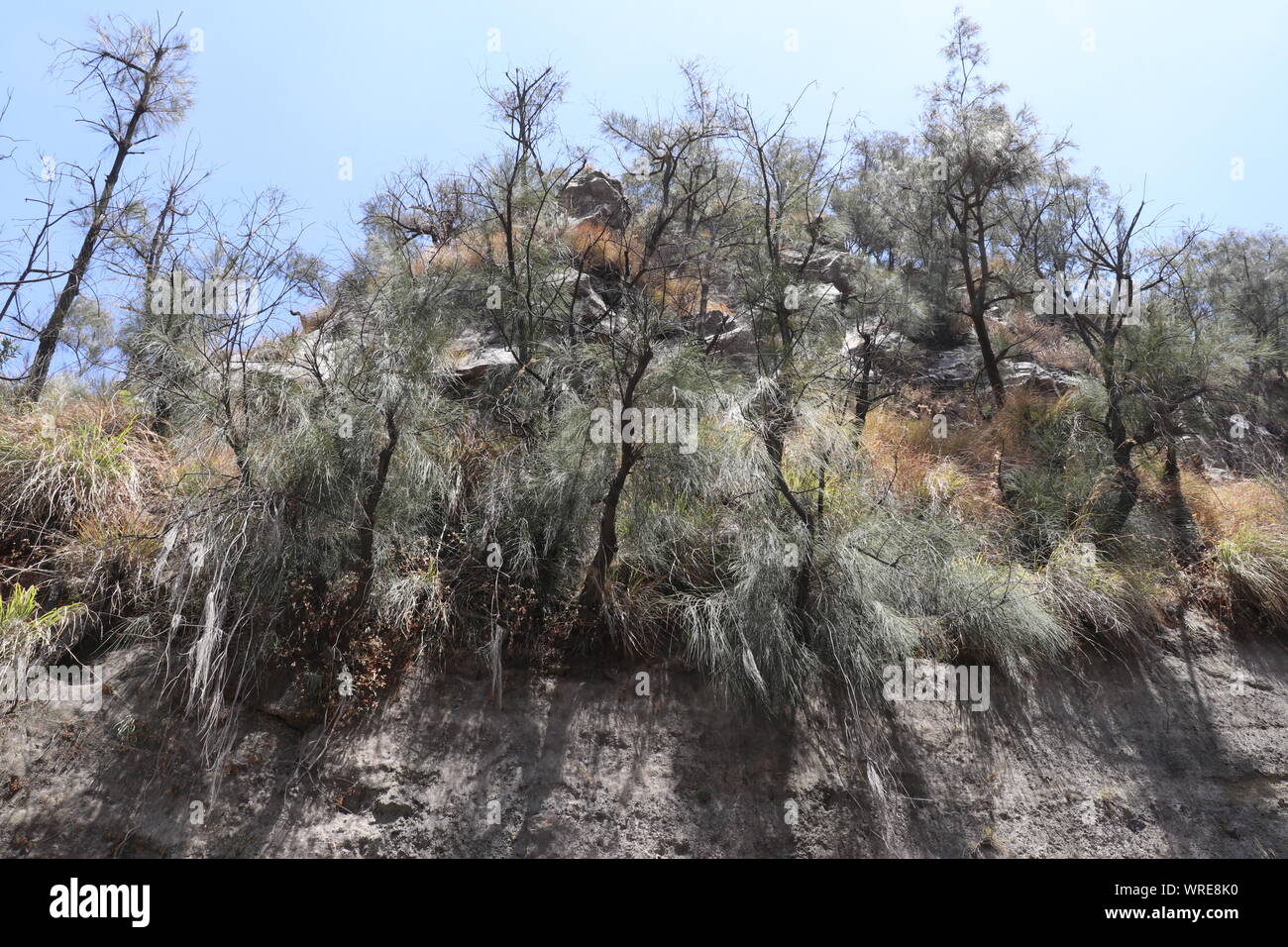 Soil erosion mountainside along the road. Weathered rock with tropical ...