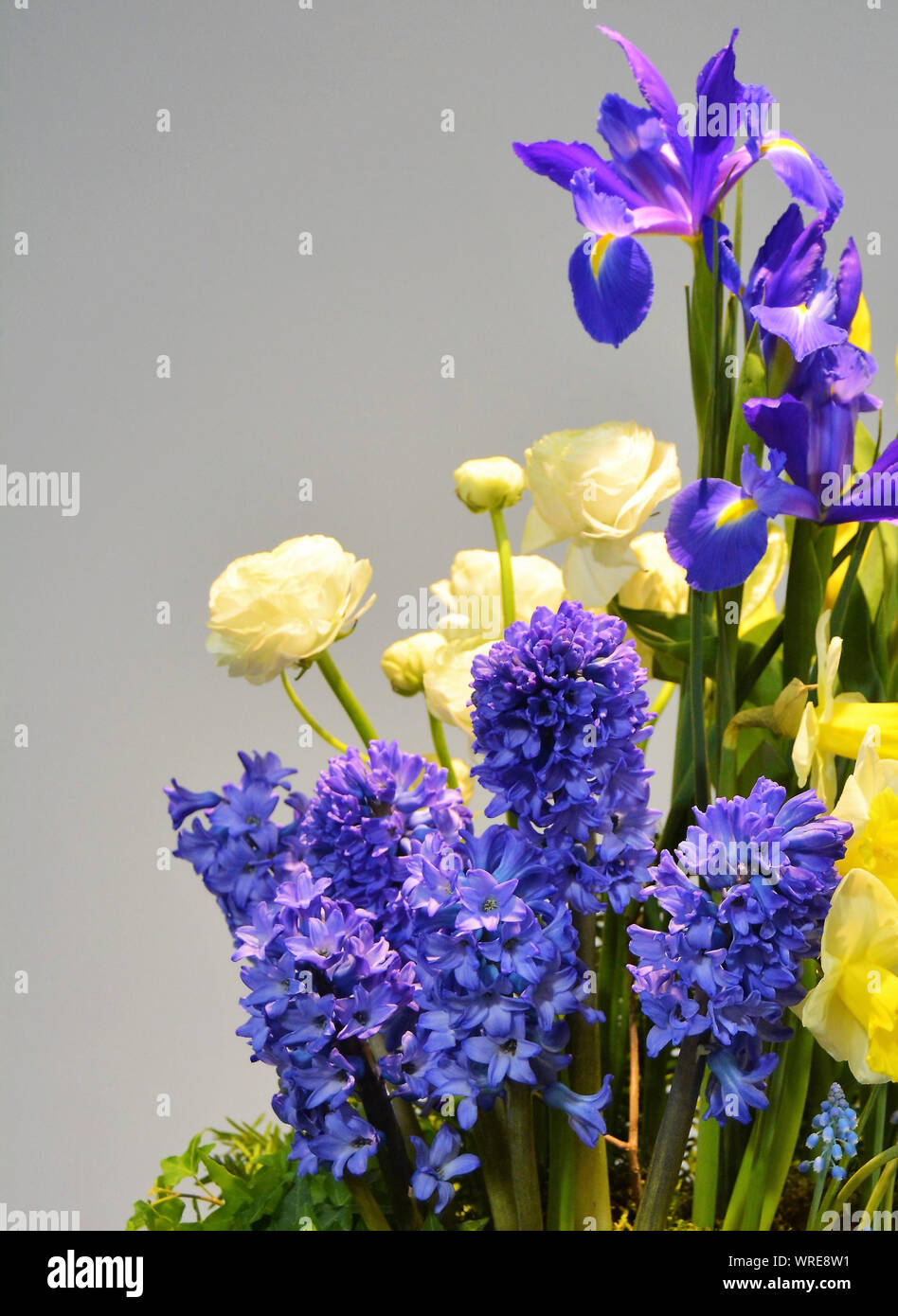 Off side floral design suitable for a card template Stock Photo - Alamy