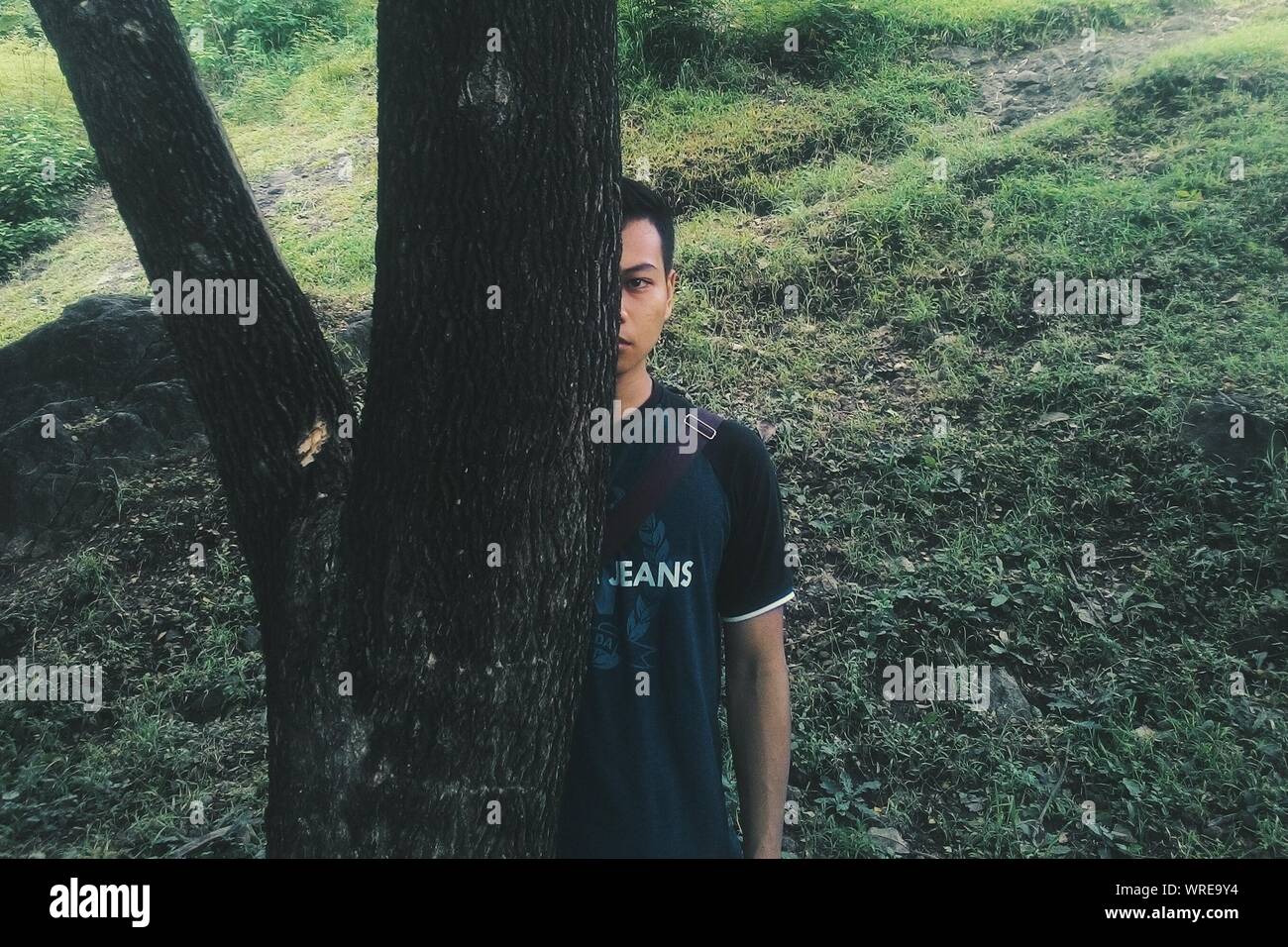 Man standing behind tree in hi-res stock photography and images - Alamy