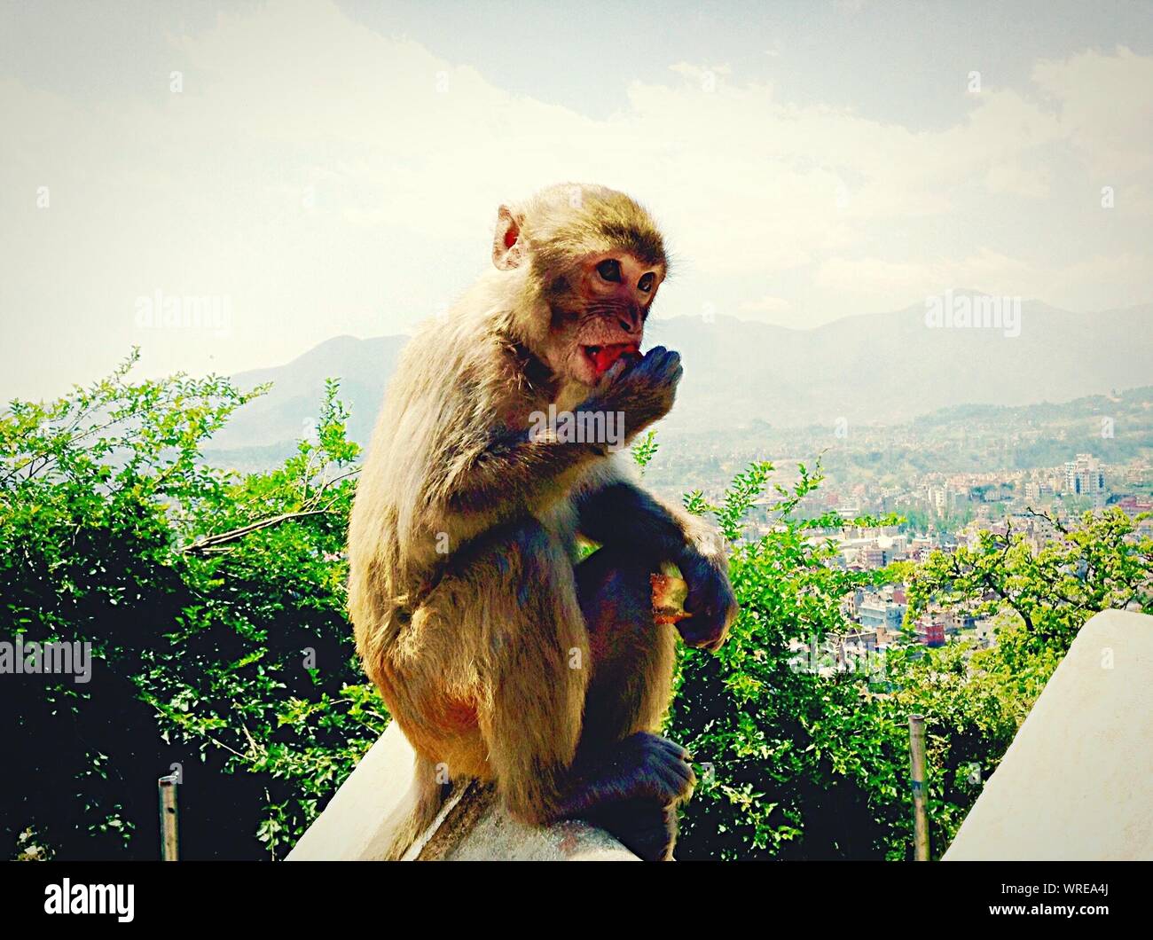 Relaxing eating hi-res stock photography and images - Alamy