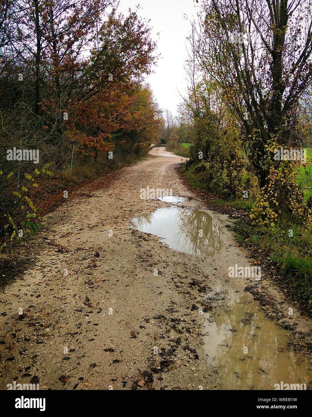 Puddles in road hi-res stock photography and images - Alamy