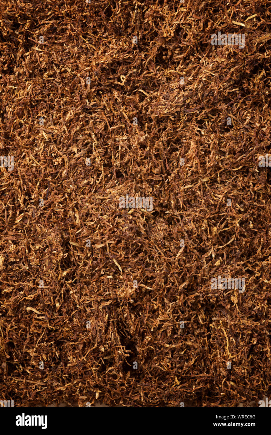 Hand rolling tobacco Stock Photo - Alamy