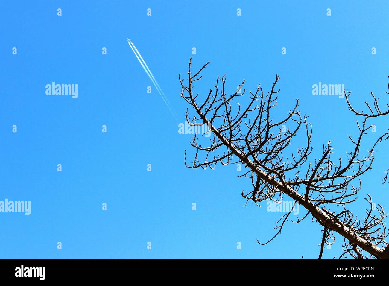 Long contrail hi-res stock photography and images - Alamy
