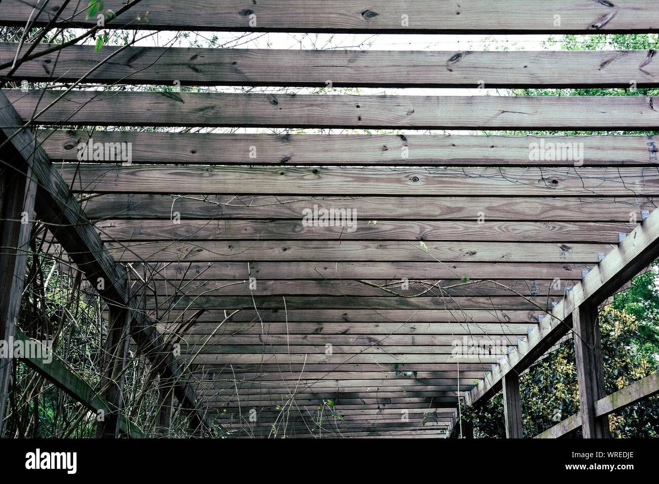 Low beams hi-res stock photography and images - Alamy