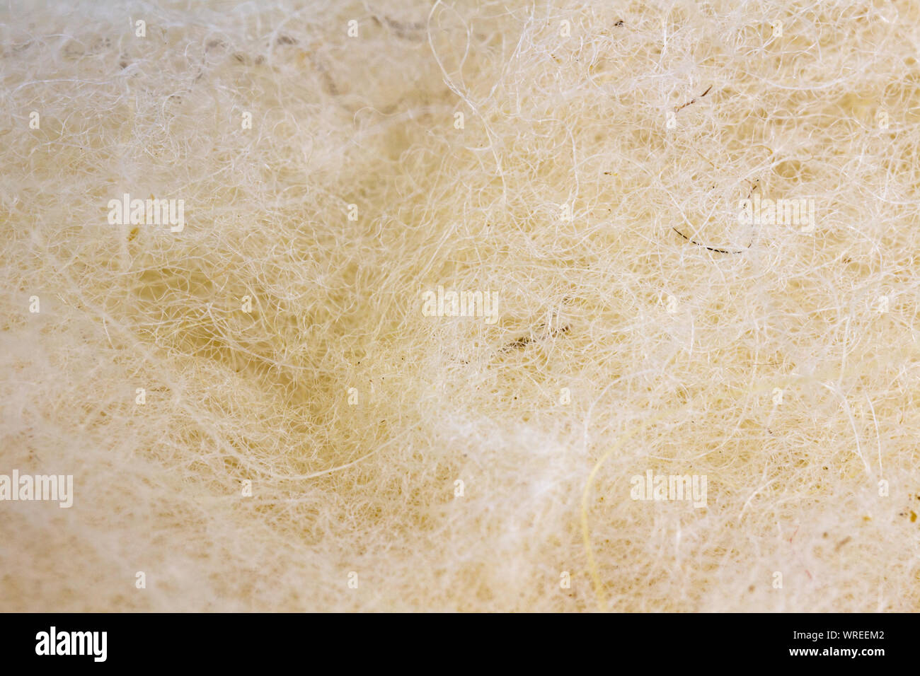 Wool fibers hi-res stock photography and images - Alamy