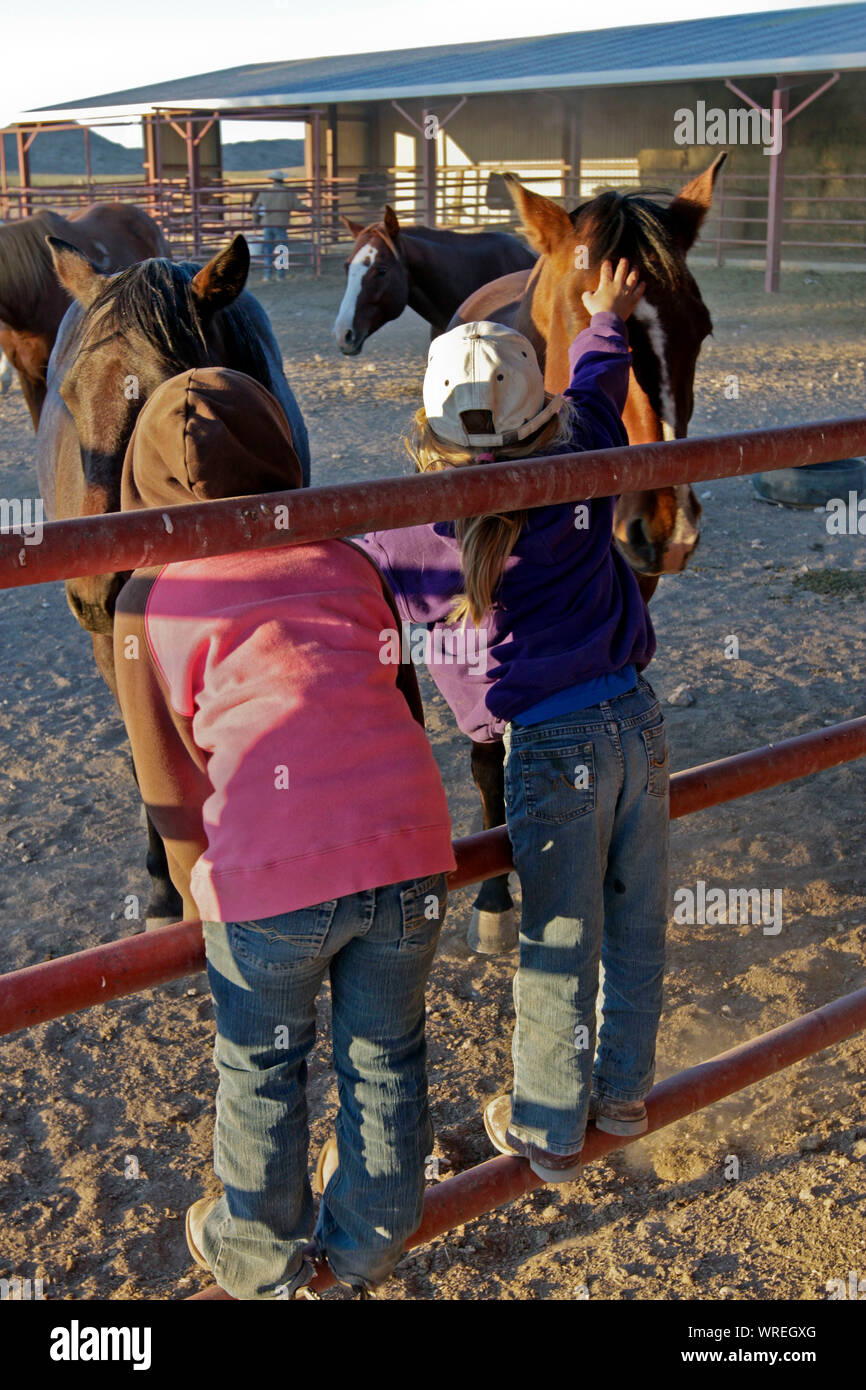 Scenes of ranch life in West TExas Stock Photo - Alamy