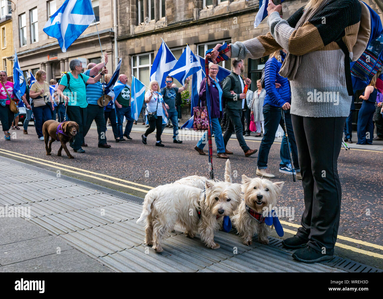 All Under One Banner Independence (AUOB) rally, Perth, Scotland, UK ...