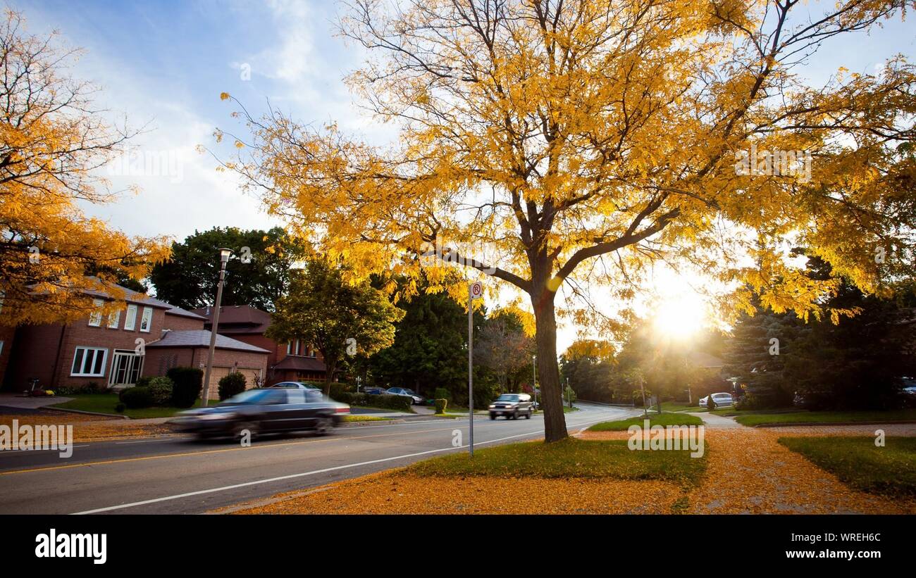 Tree covering sign hi-res stock photography and images - Alamy