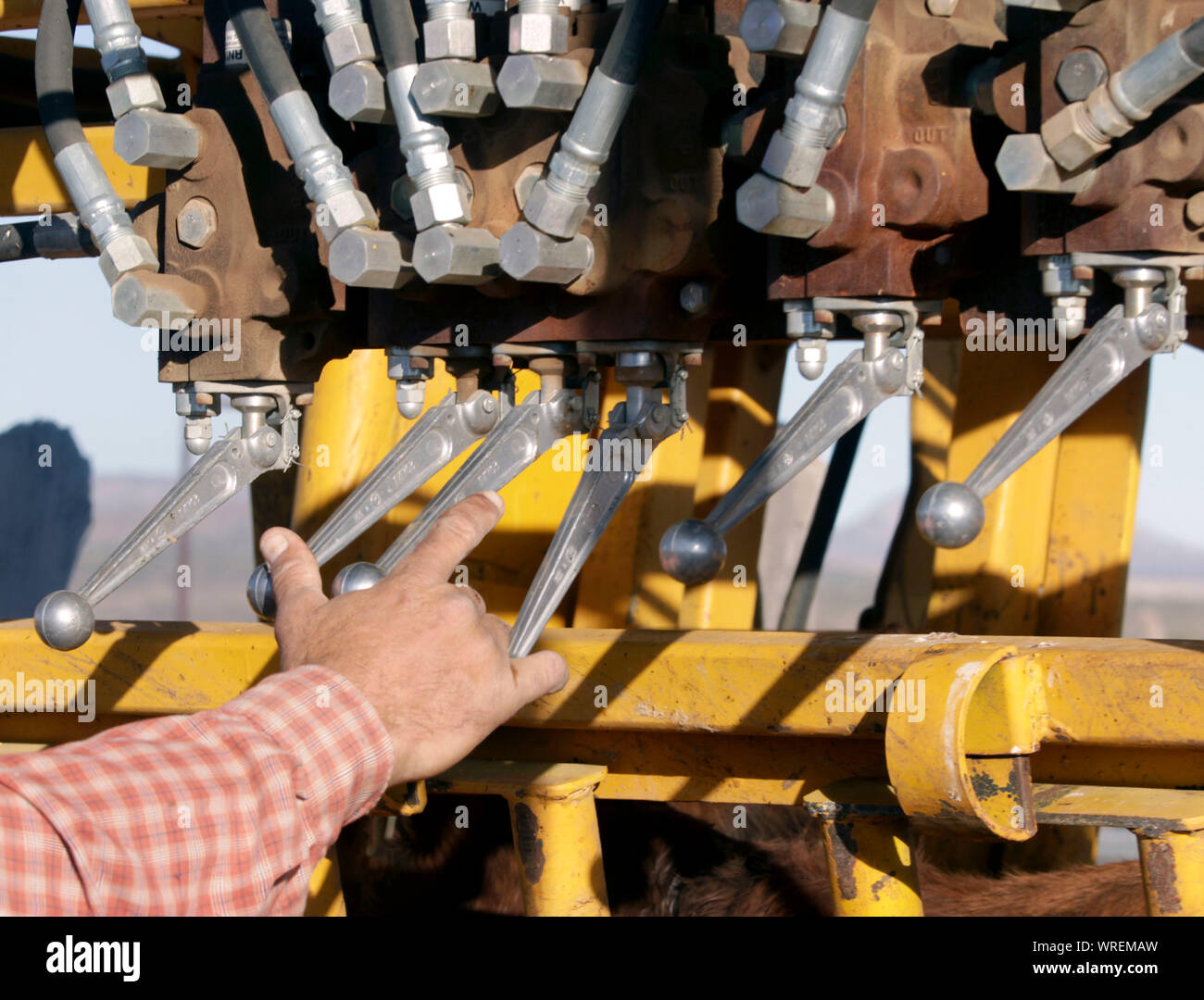 Cattle branding on a remote West Texas ranch Stock Photo - Alamy