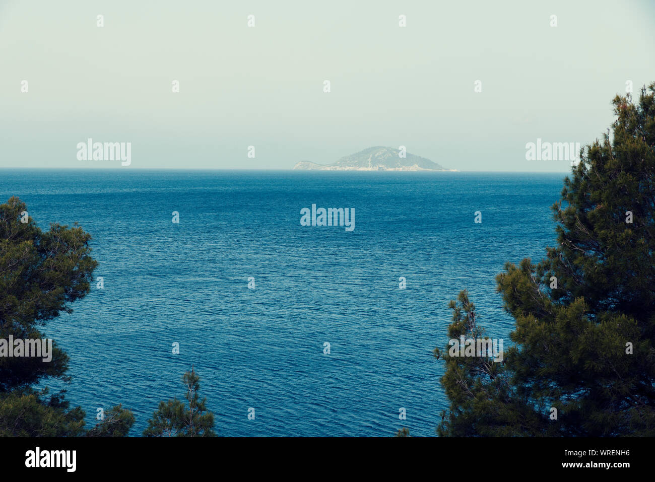 Turtle at the blue water island resort hi-res stock photography and ...