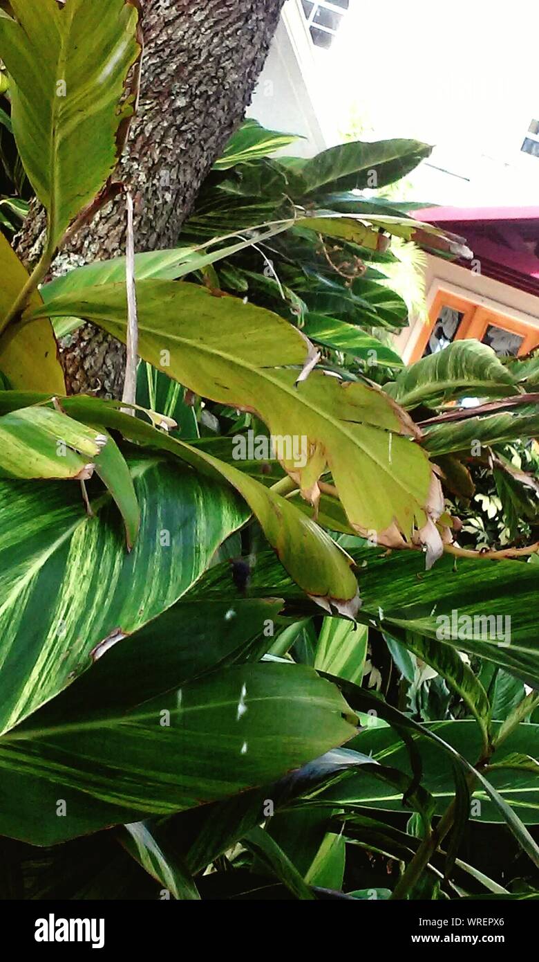 The tilt yard hi-res stock photography and images - Alamy