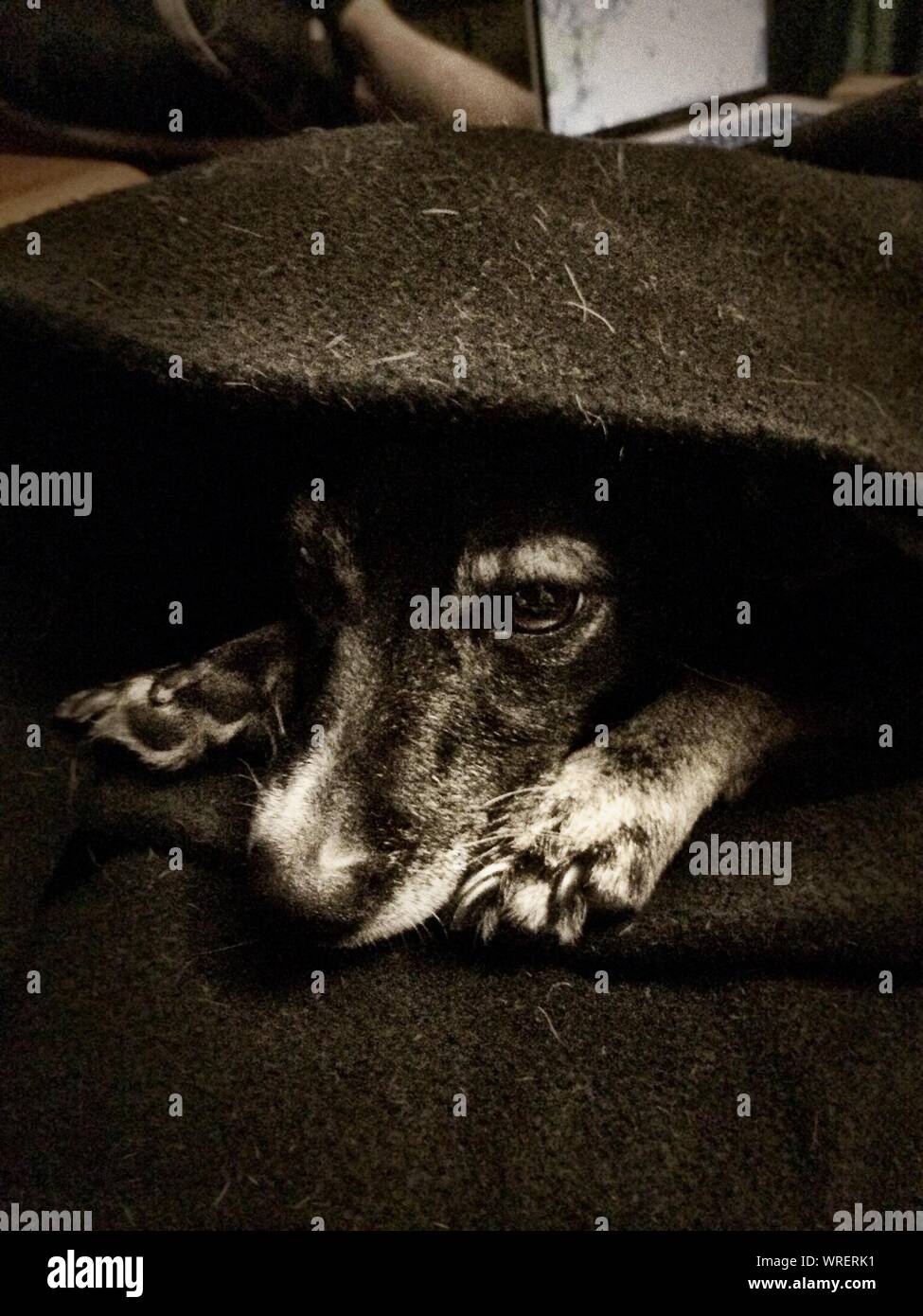 Under the mat hi-res stock photography and images - Alamy