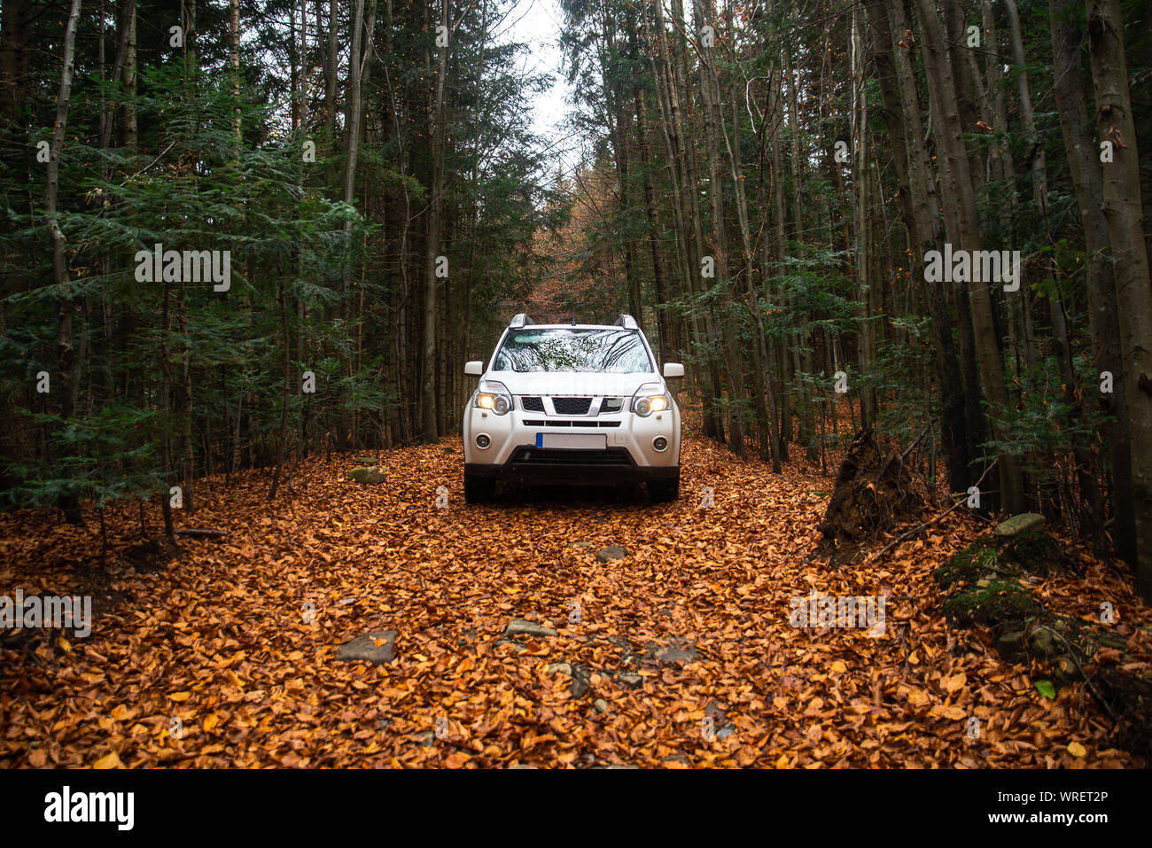 White suv in woods hi-res stock photography and images - Alamy