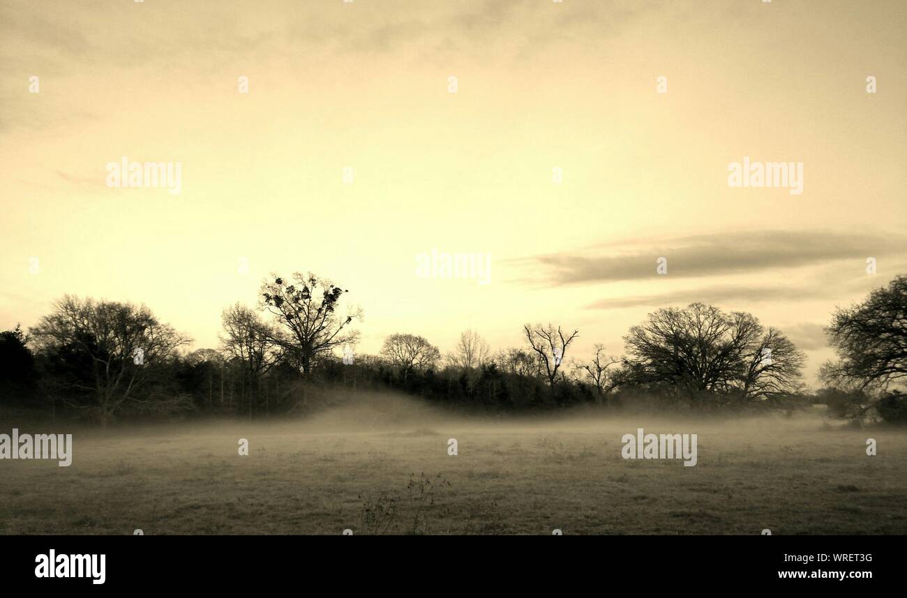Fog and dusk hi-res stock photography and images - Alamy