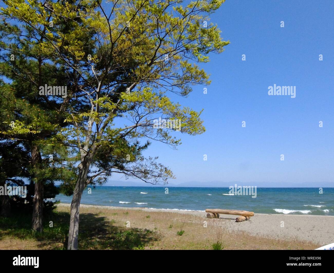 Log in the beach hi-res stock photography and images - Alamy