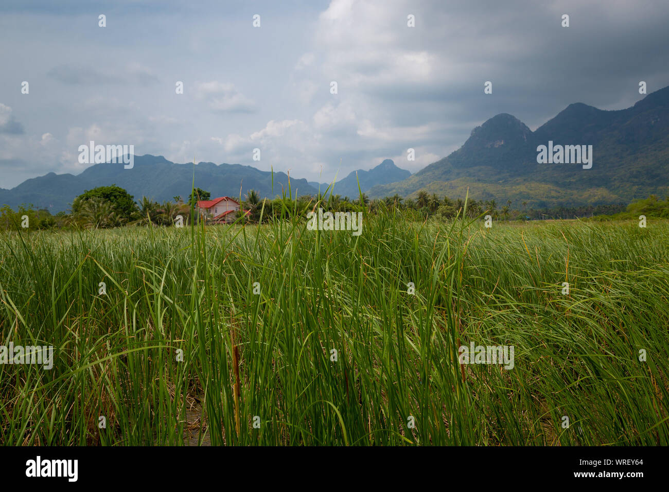 Beautiful outdoor panoramic landscape of mountains and big green lake ...