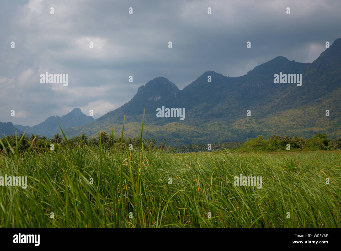 Beautiful outdoor panoramic landscape of mountains and big green lake ...