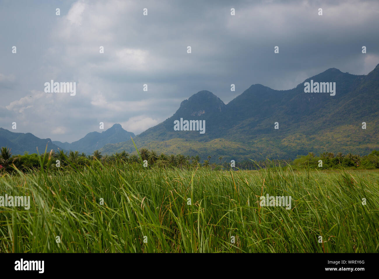 Beautiful outdoor panoramic landscape of mountains and big green lake ...