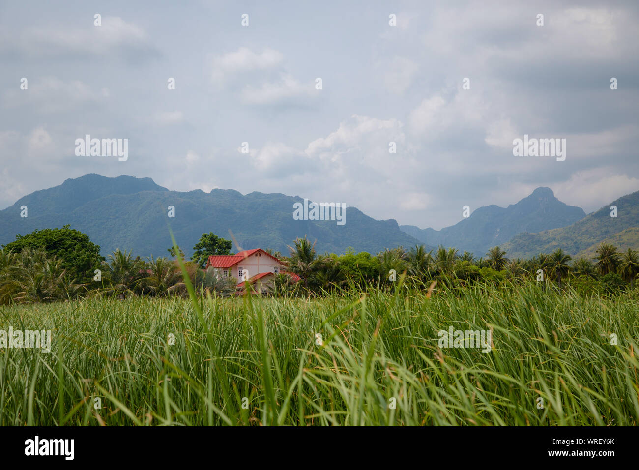 Beautiful outdoor panoramic landscape of mountains and big green lake ...