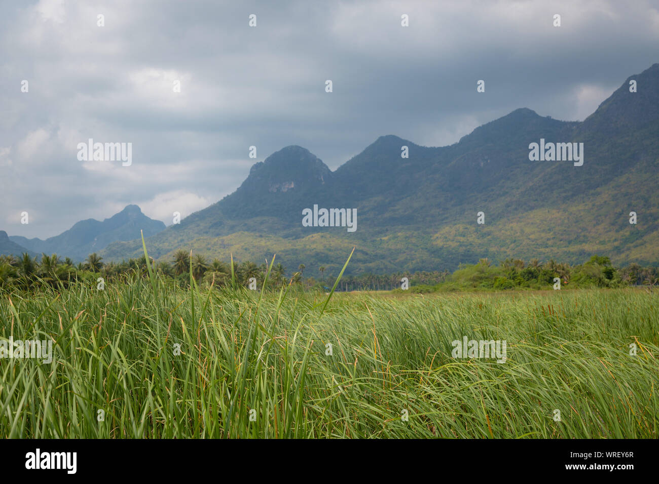 Beautiful outdoor panoramic landscape of mountains and big green lake ...