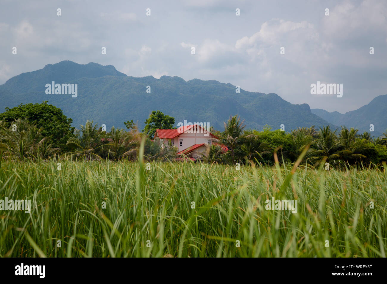 Beautiful outdoor panoramic landscape of mountains and big green lake ...