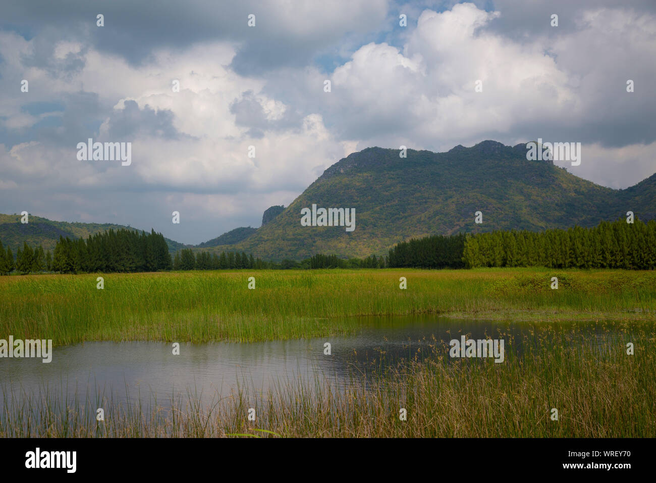 Beautiful outdoor panoramic landscape of mountains and big green lake ...
