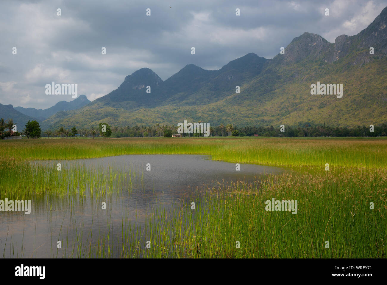 Beautiful outdoor panoramic landscape of mountains and big green lake ...