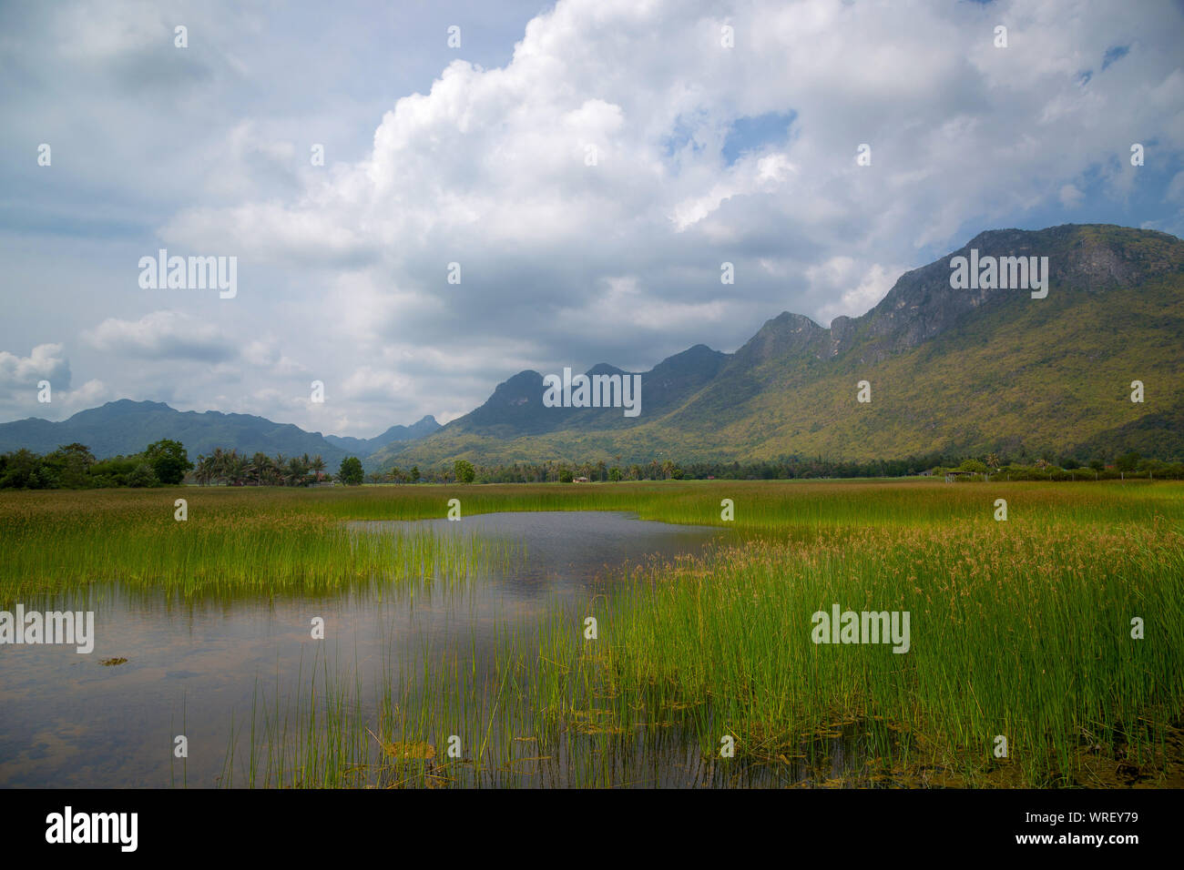 Beautiful outdoor panoramic landscape of mountains and big green lake ...