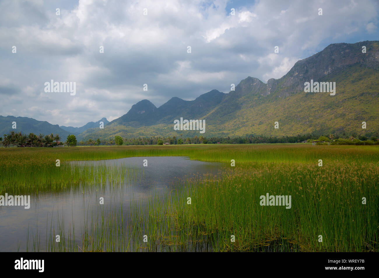 Beautiful outdoor panoramic landscape of mountains and big green lake ...
